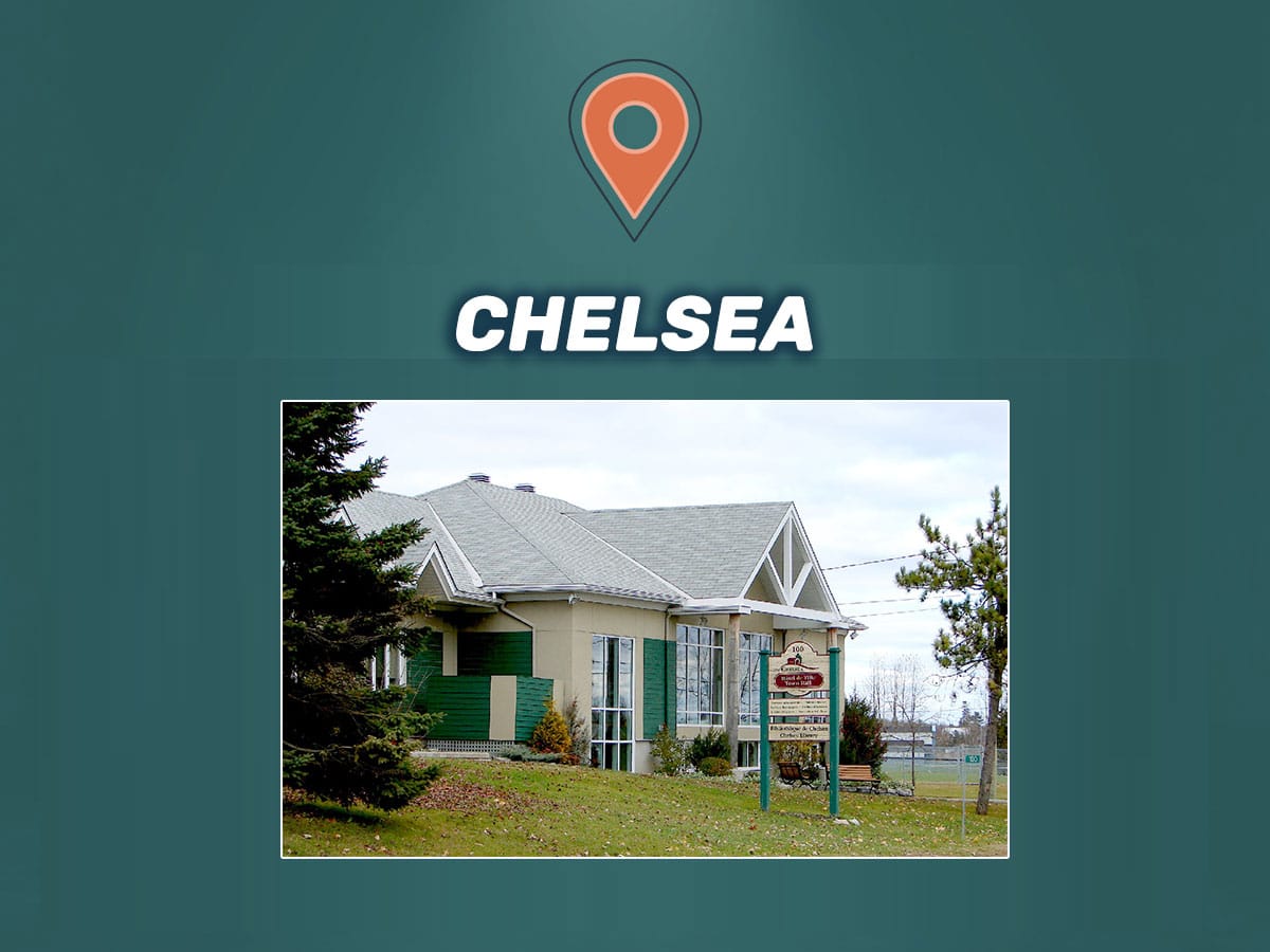 Élimination et décontamination des moisissures à Chelsea