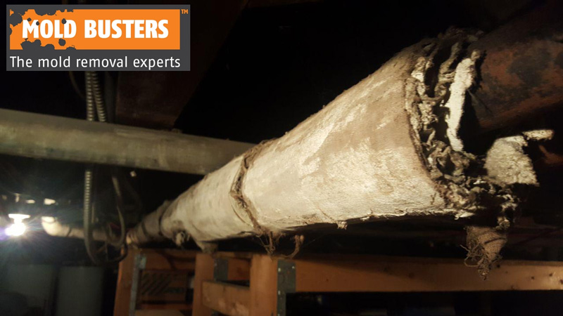 Le guide de l’amiante au Canada: à quoi ressemble-t-il? | Mold Busters