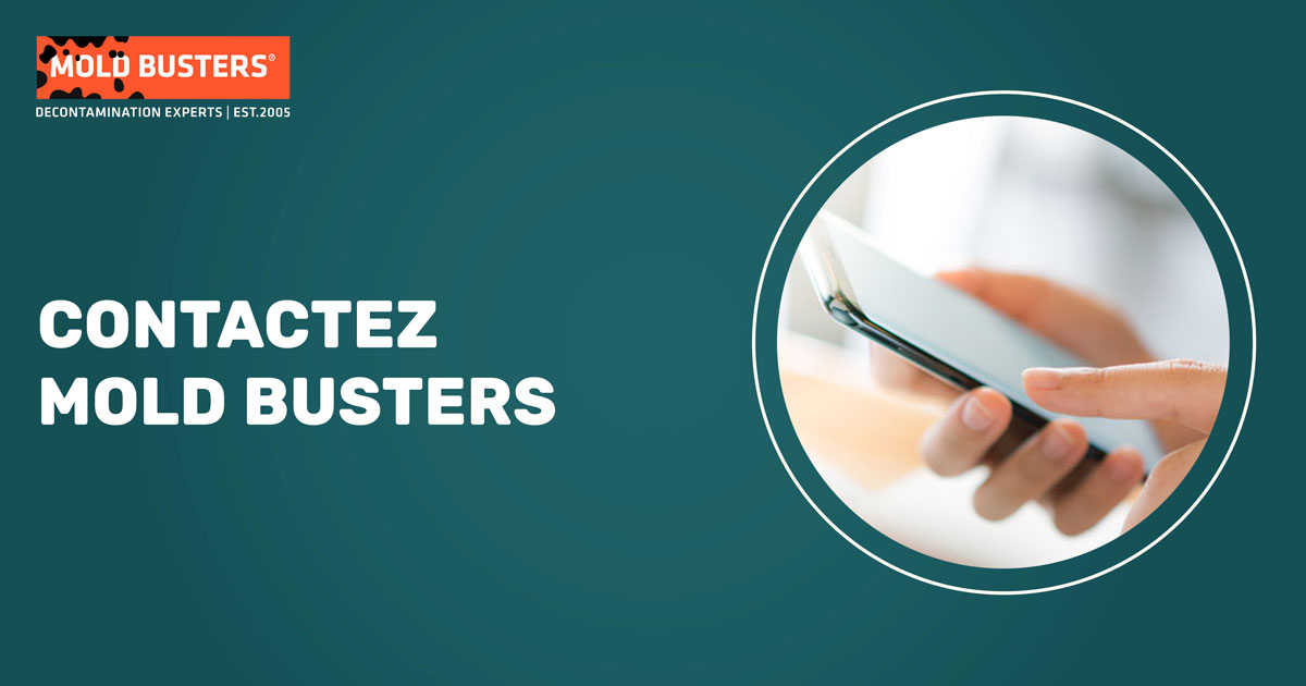 Contactez-nous - Votre experts d'assainissement