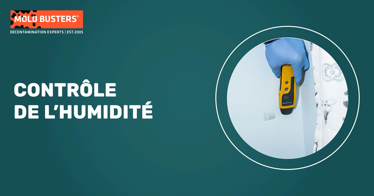 Contrôle & test de l'humidité - Réduisez l'humidité relative | Mold Busters